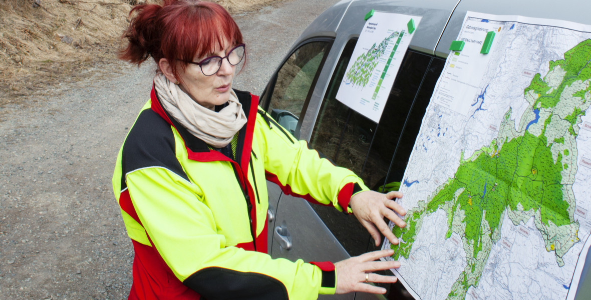 ”Granbarkborrens framfart är brutal” | Tidningen Extrakt