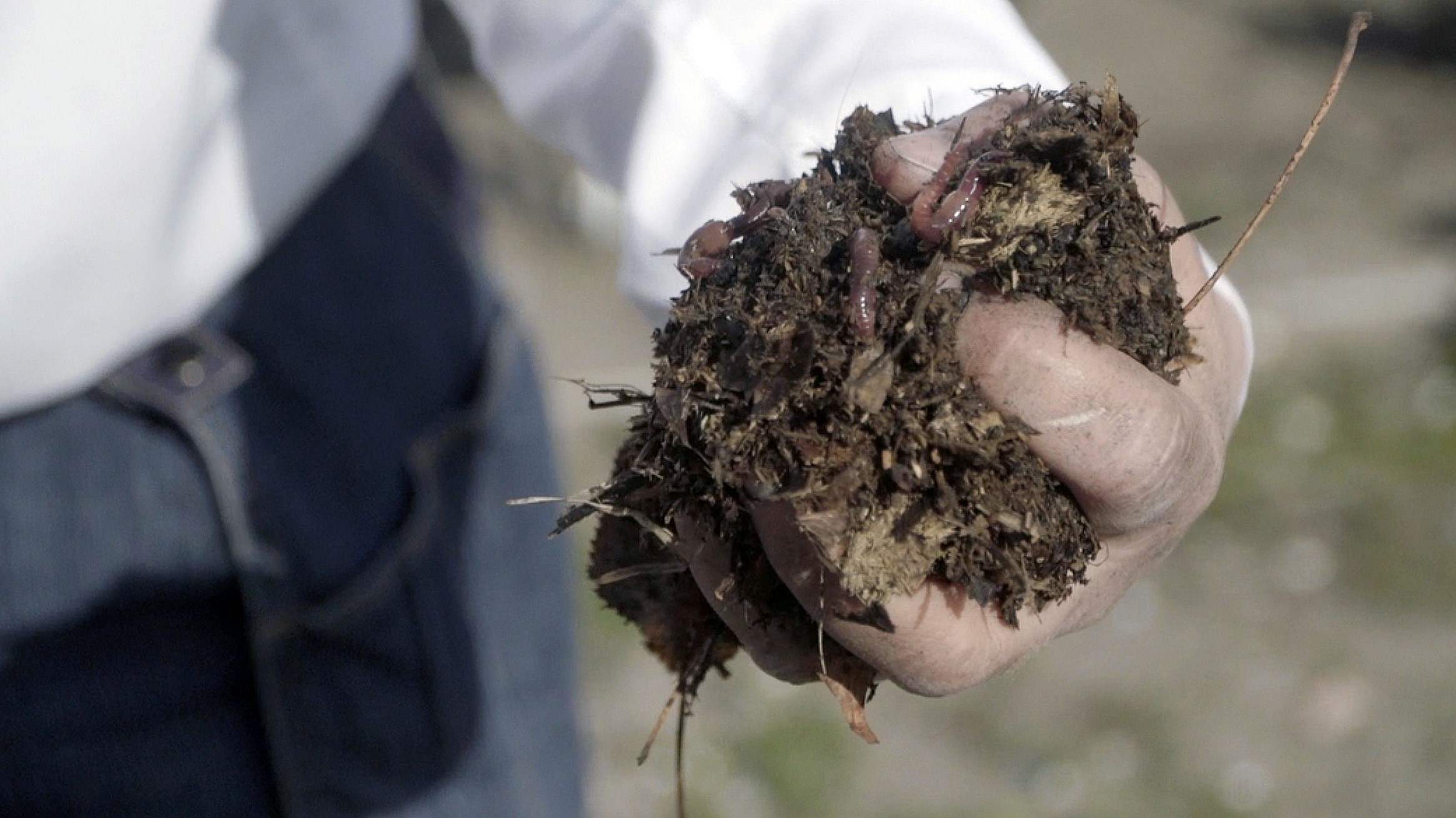New project unearths the importance of soil | Magazine Extrakt