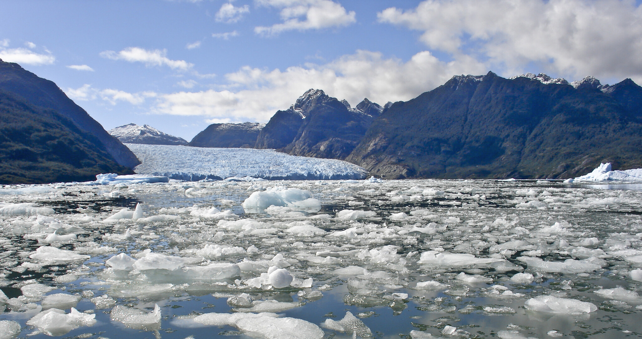 Tidningen Extrakt | Den viktigaste forskningen. De grönaste idéerna.