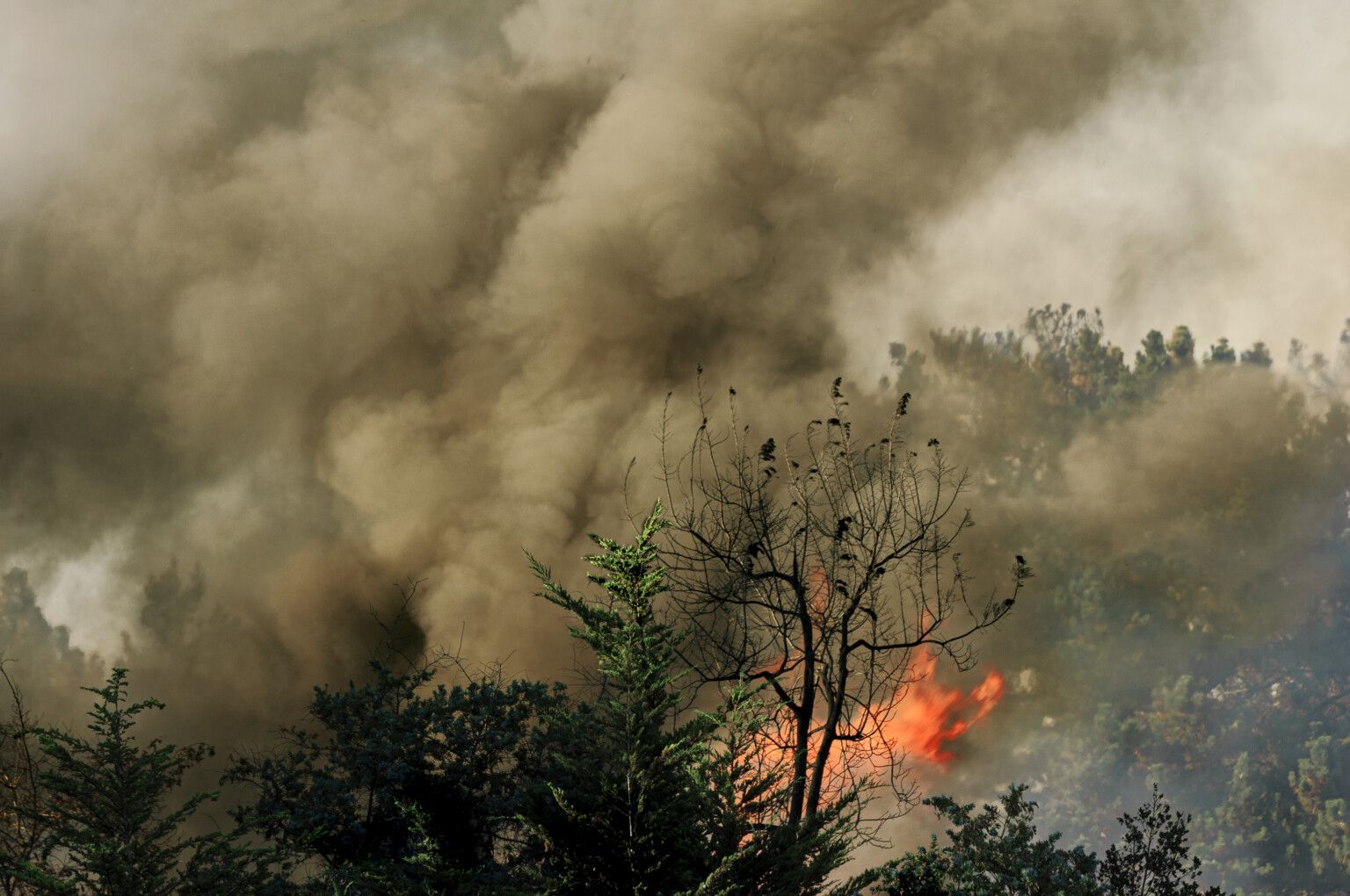 Topp 50 för en mer hållbar livsstil | Tidningen Extrakt